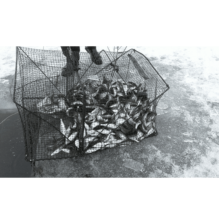 Suomen Erämetsästys LOKKA-KATISKA, 2-nieluinen katiska